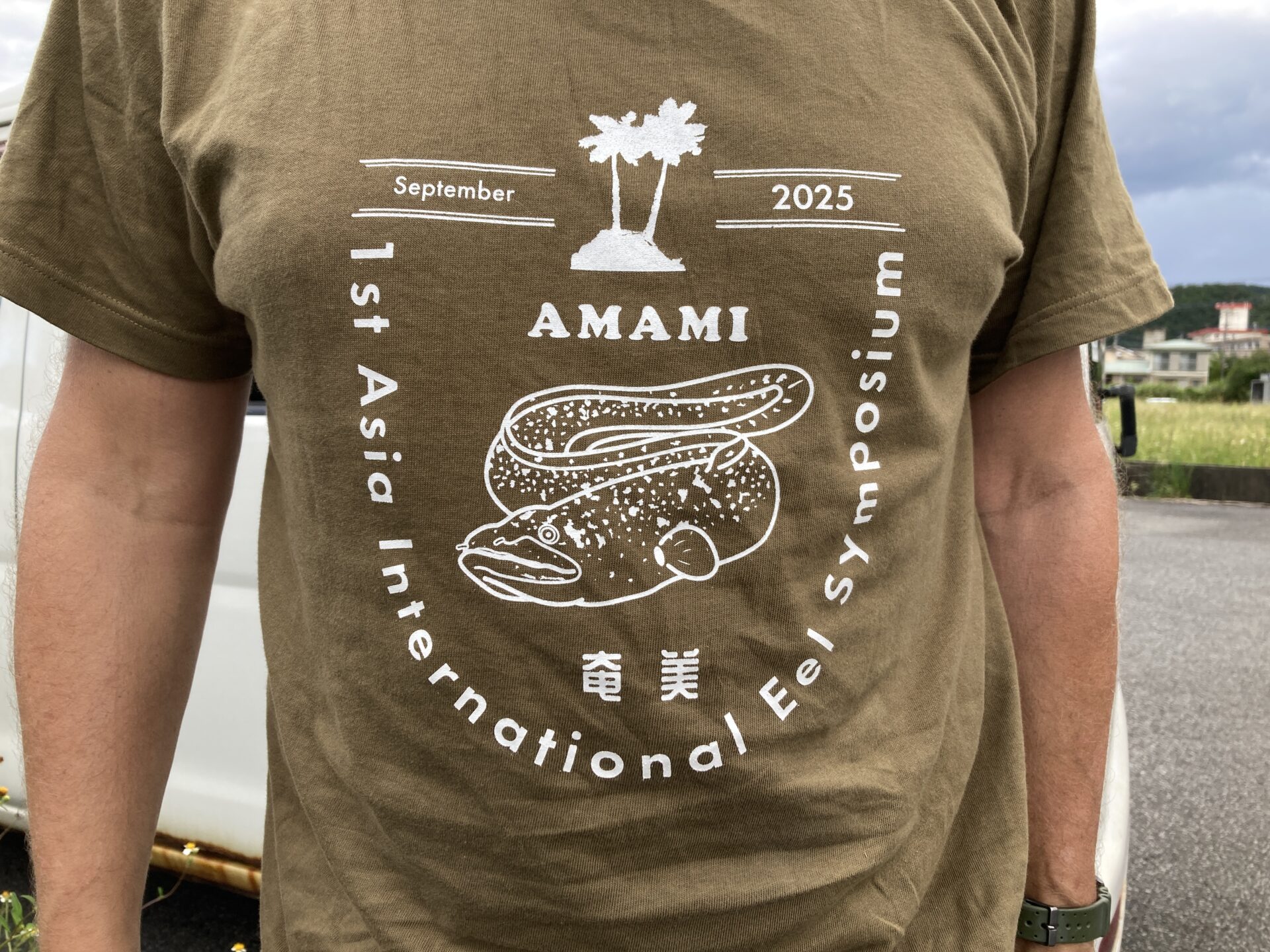 UNAGI 奄美大島 ファンダイビング/ 本日の海況